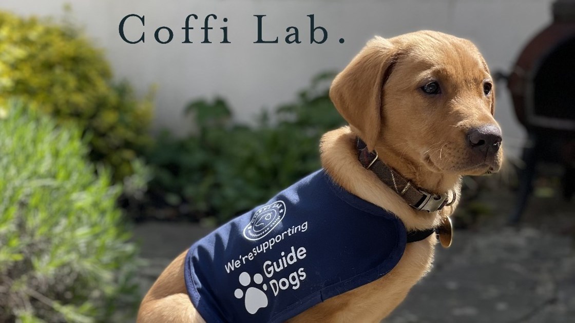 Coffi Lab is fundraising for Guide Dogs