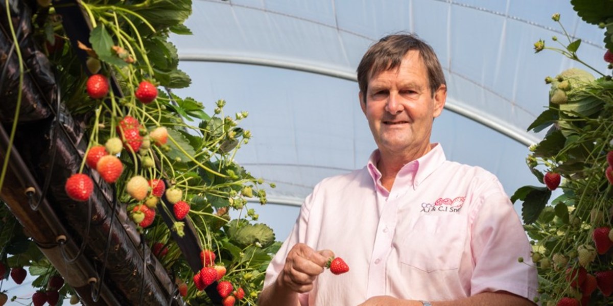 Anthony Snell is fundraising for The National Brain Appeal