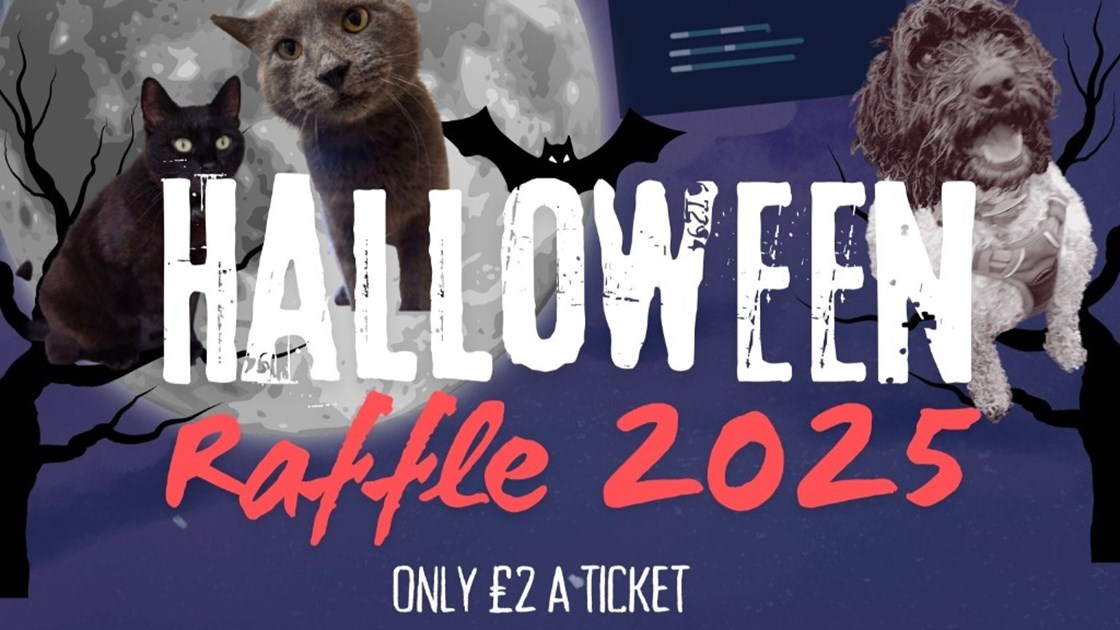 Halloween Raffle - JustGiving