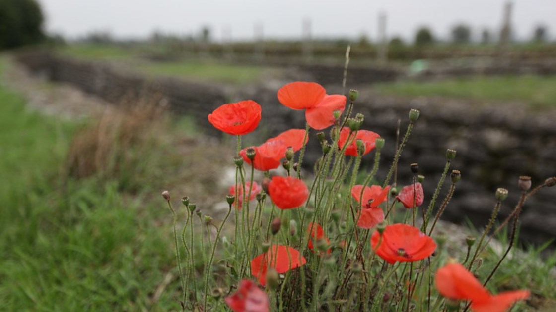 Proteus Give-mas is fundraising for The Royal British Legion