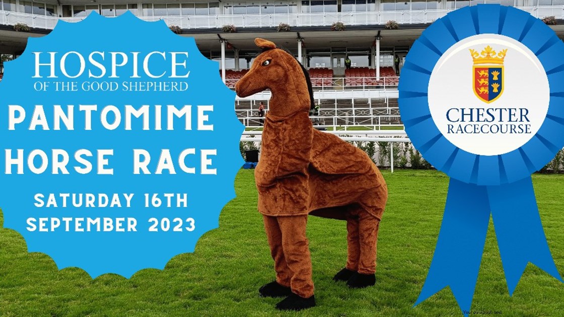Hospice Pantomime Horse Race - JustGiving