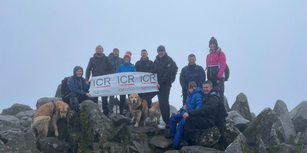 Andrew Stacey is fundraising for The Institute of Cancer Research (ICR)