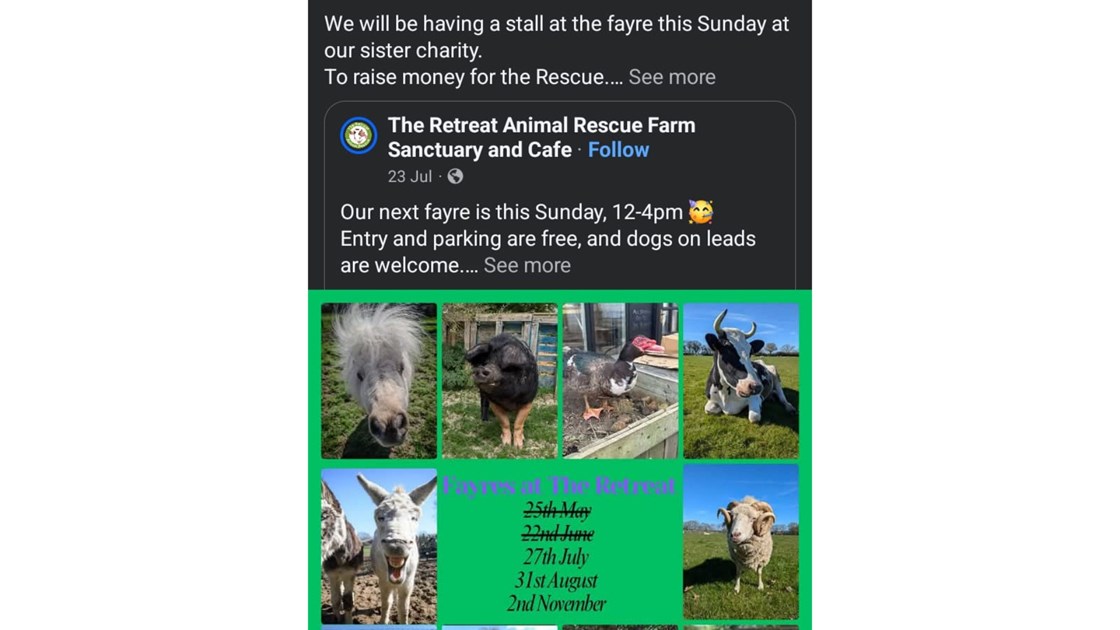Lori Duffy is fundraising for The Retreat Animal Rescue