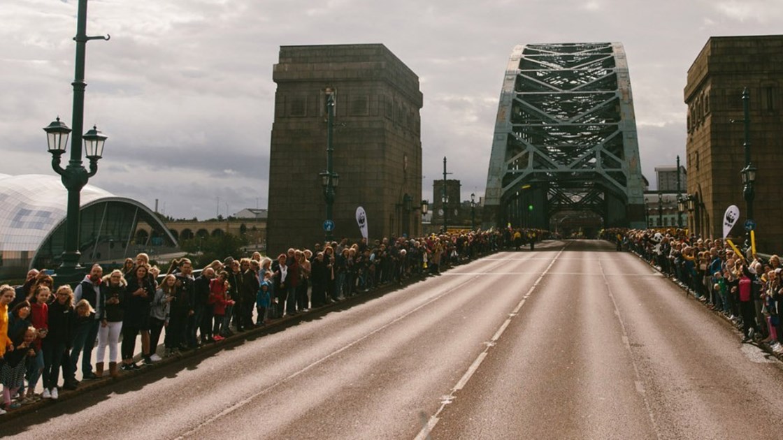 Jill Ingham is fundraising for SHINE