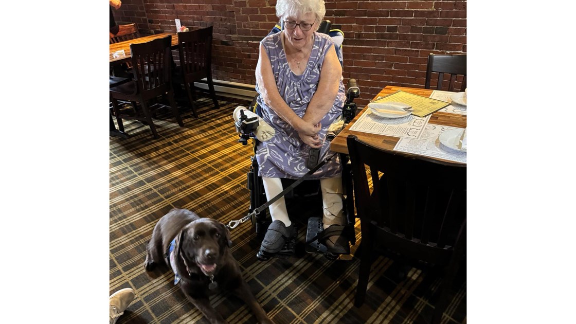 Carol-Ann Doyle is fundraising for Paws With A Cause