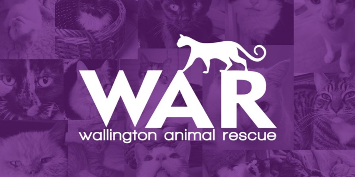 Callum Waterson is fundraising for Wallington Animal Rescue