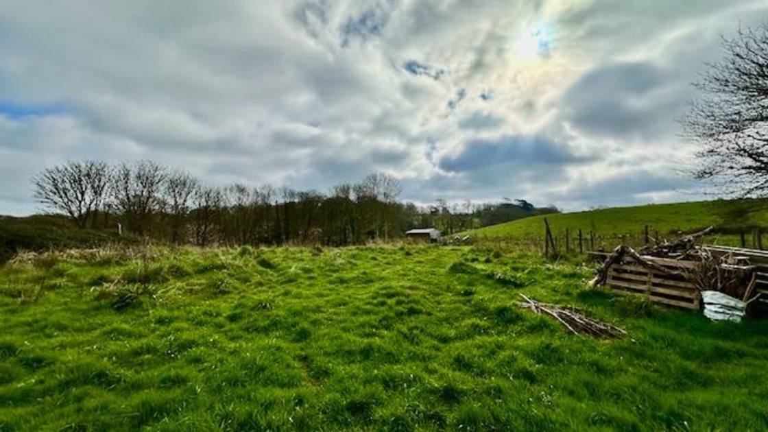 Help Rejuvenate Our Wild Tribe Field - JustGiving