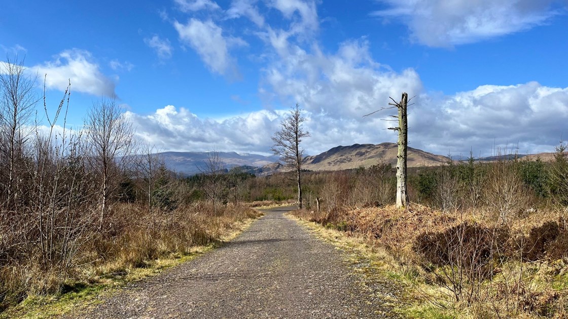 Ashmesh Mehra is fundraising for Sewa International UK