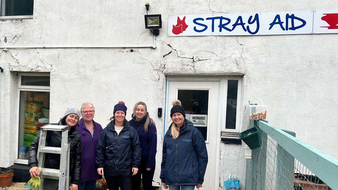 Stronger Together is fundraising for Durham Dogs & Cats Home