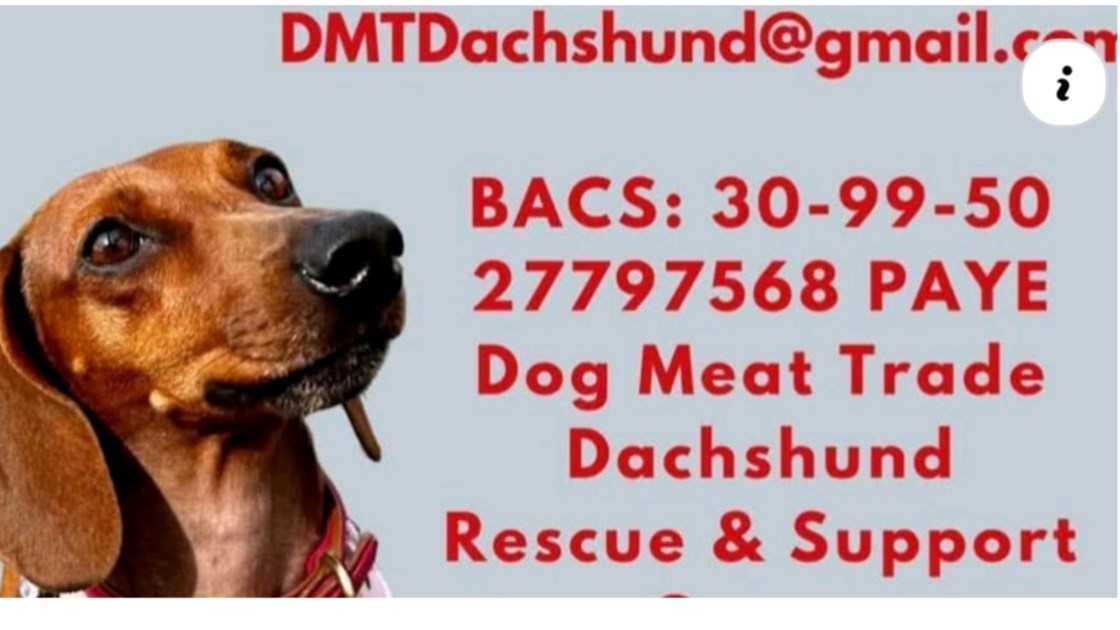 ELIZABETH SIMMS is fundraising for DMT DRSG