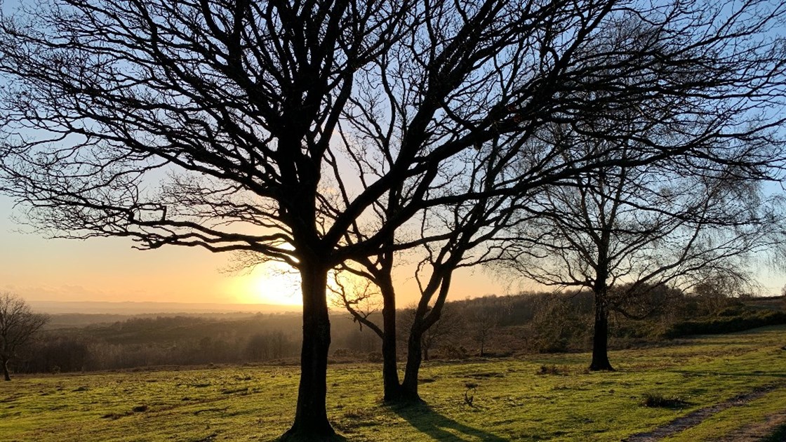 Autumn 2021 Sponsored Forest Walk! - JustGiving