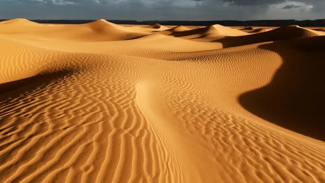 Polly Debnam is fundraising for Barnardo's