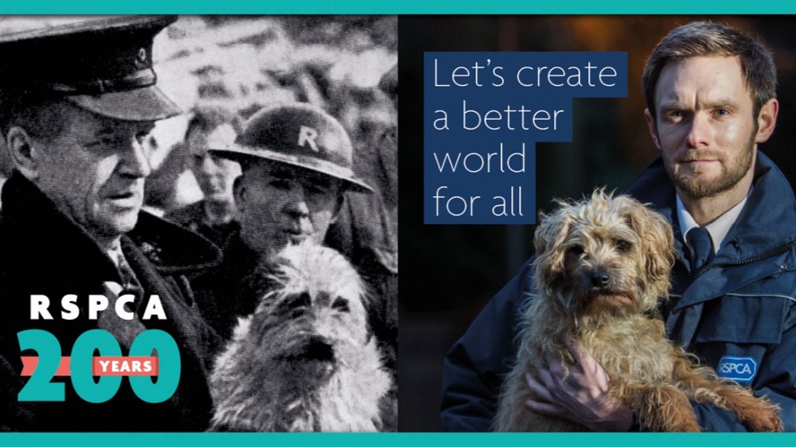 RSPCA 200 YEAR ANNIVERSARY - JustGiving