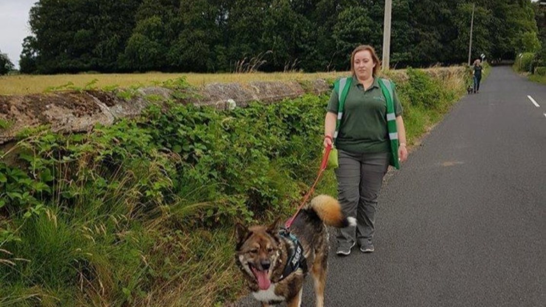 Our Annual Sponsor Dog Walk - JustGiving