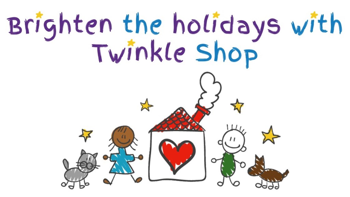 2023 Twinkle Shop - JustGiving