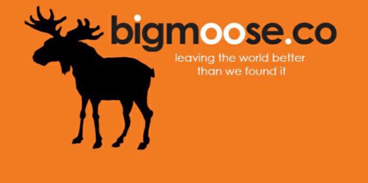 Bevan Buckland is fundraising for bigmoose