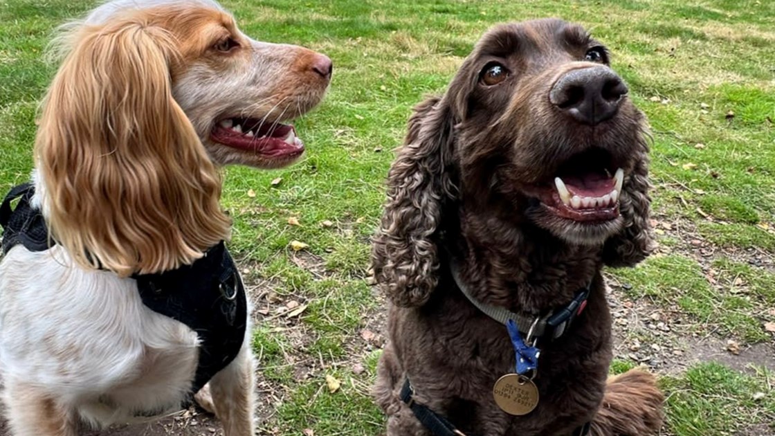 Hazel Franklin is fundraising for Alzheimer's Society