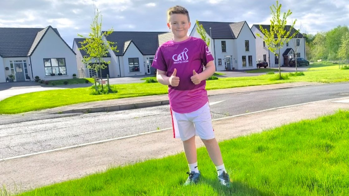 Mark Irwin-Watson is fundraising for Cats Protection