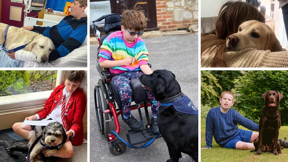 Boveridge College is fundraising for Dogs for Autism