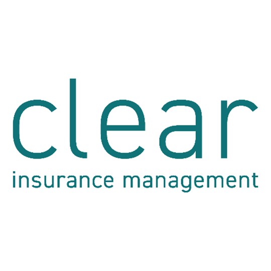 The Clear Group - Christmas Jumper Day is raising money for Save The ...