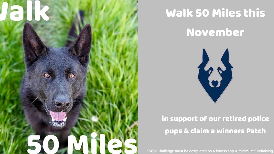 Walk 50 Miles In November Challenge - JustGiving