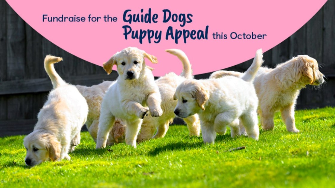 The Guide Dogs Puppy Appeal - JustGiving