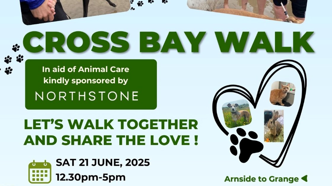 Cross Bay Walk 2025 - JustGiving