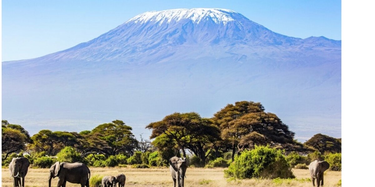 Rachel Yates is fundraising for Dementia UK