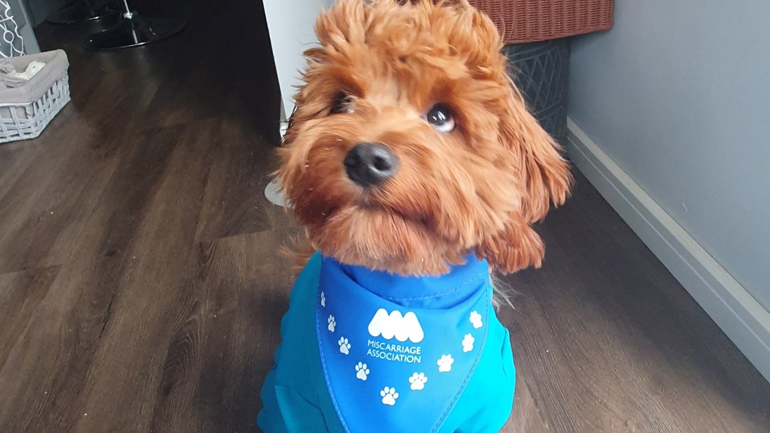 Sam Partington is fundraising for The Miscarriage Association