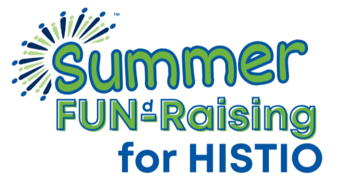 Create Your Summer FUNdraiser! - JustGiving