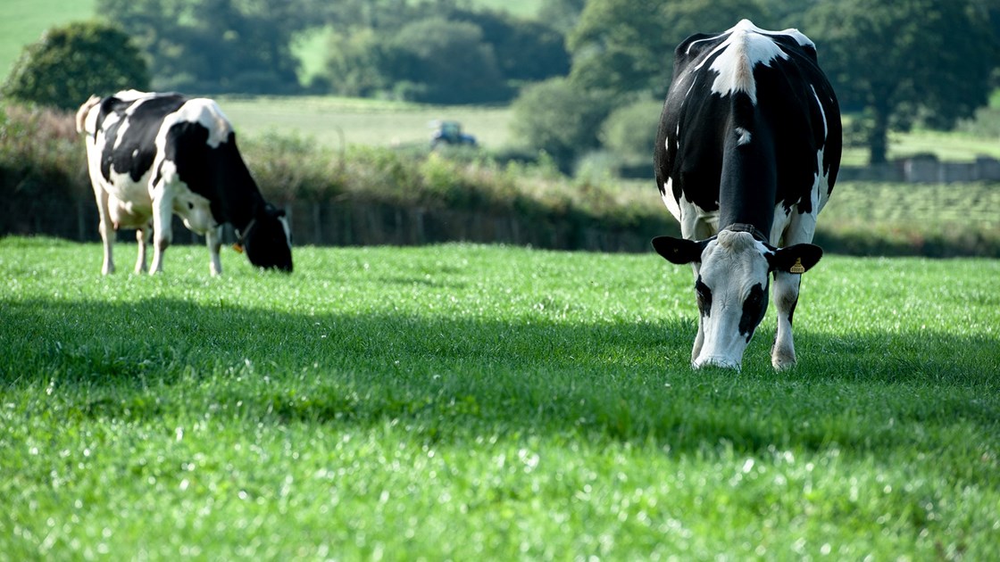 Mark Brooking is fundraising for PROSTATE CANCER UK