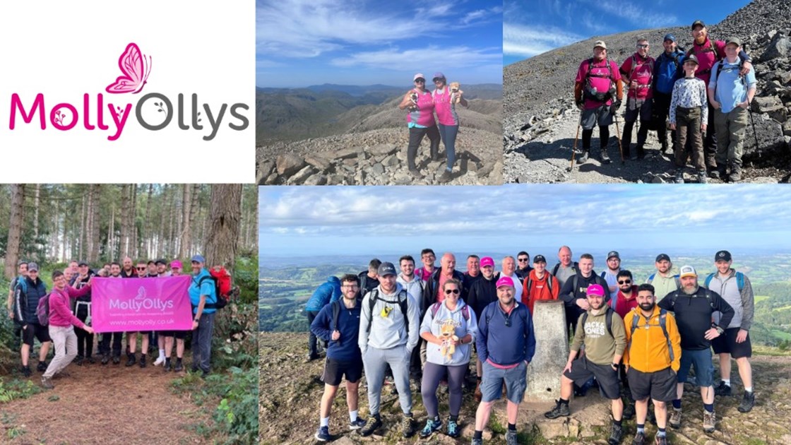 Molly Ollys 2025 Walking Challenges - JustGiving