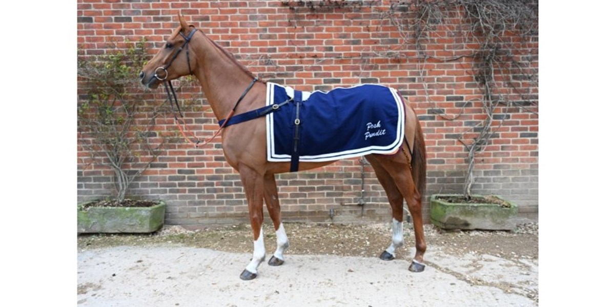 Rupert Adams is fundraising for The Injured Jockeys Fund