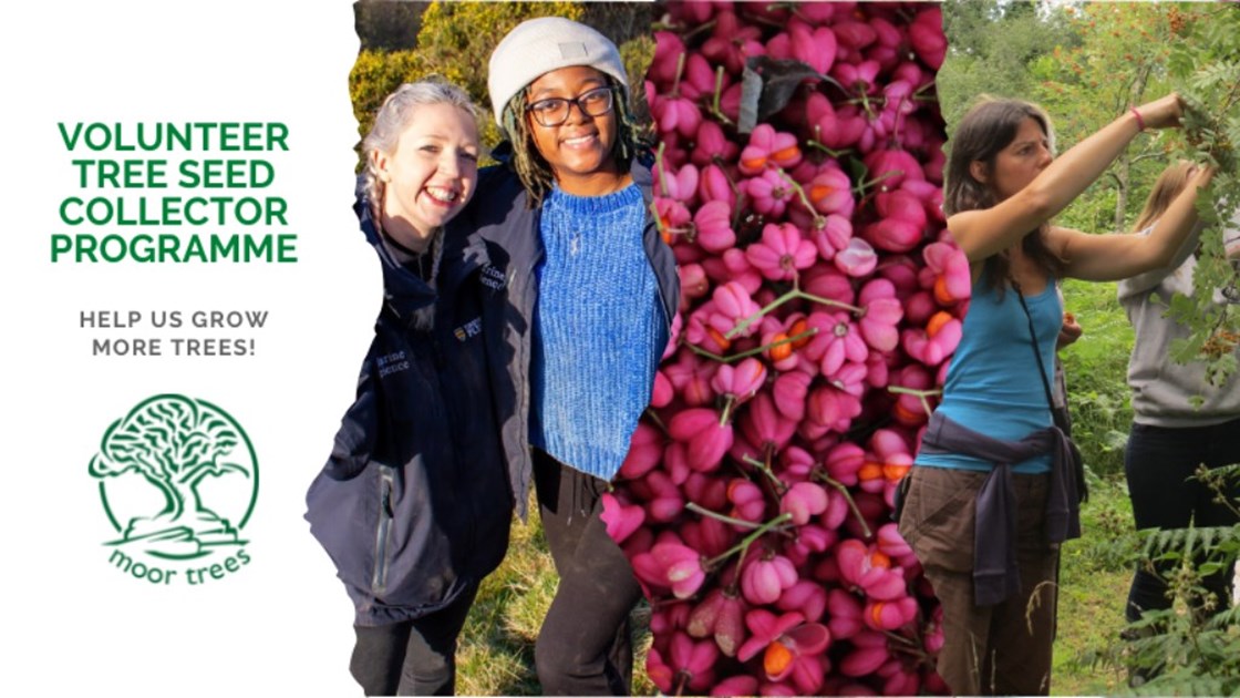 Help us engage with more of our community to collect tree seed ...