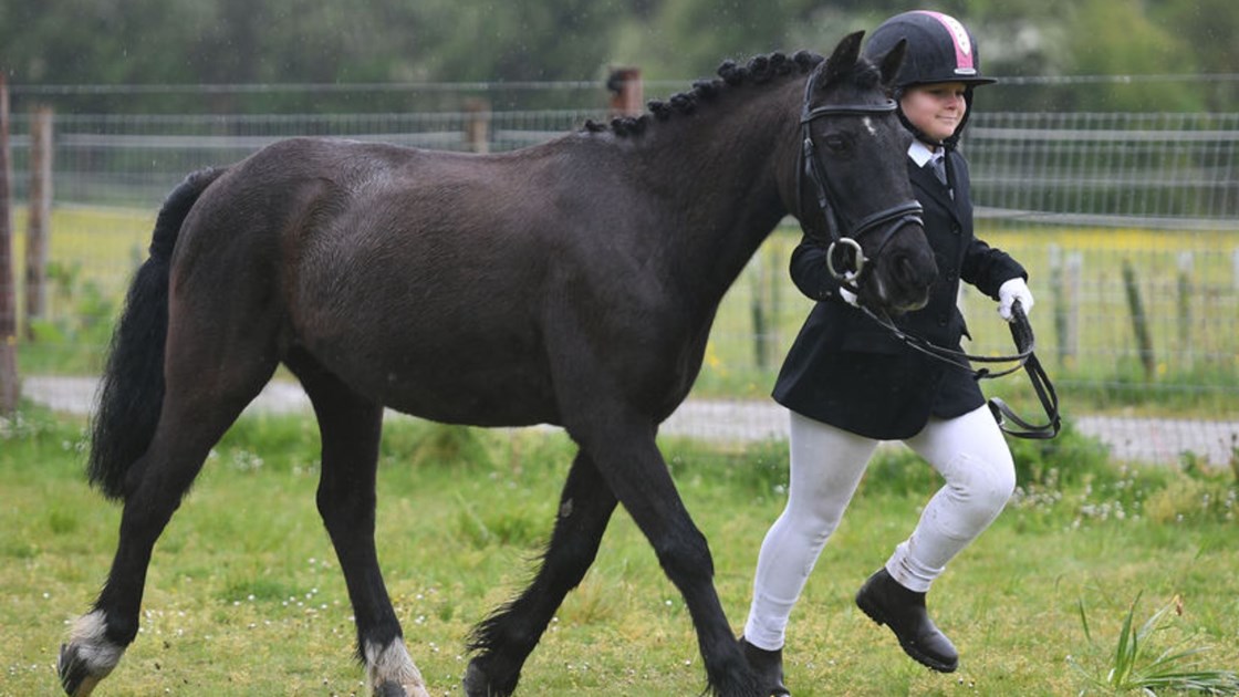 Kerry Kendall is fundraising for Charlton Park RDA