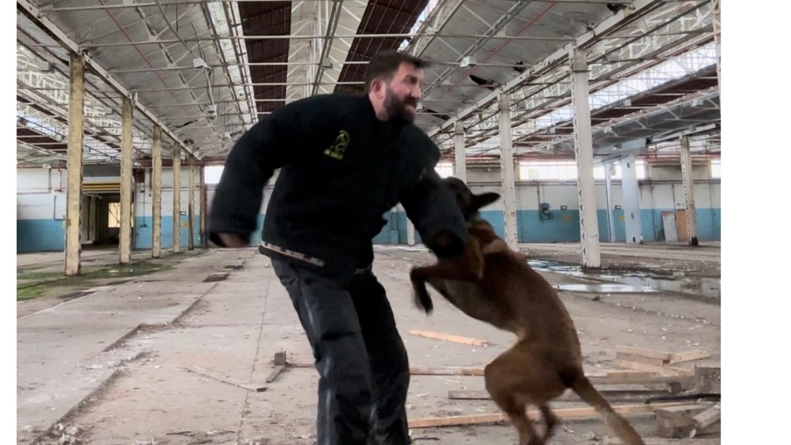 David Culverwell is fundraising for Cumbria Police Dog Benevolent Fund