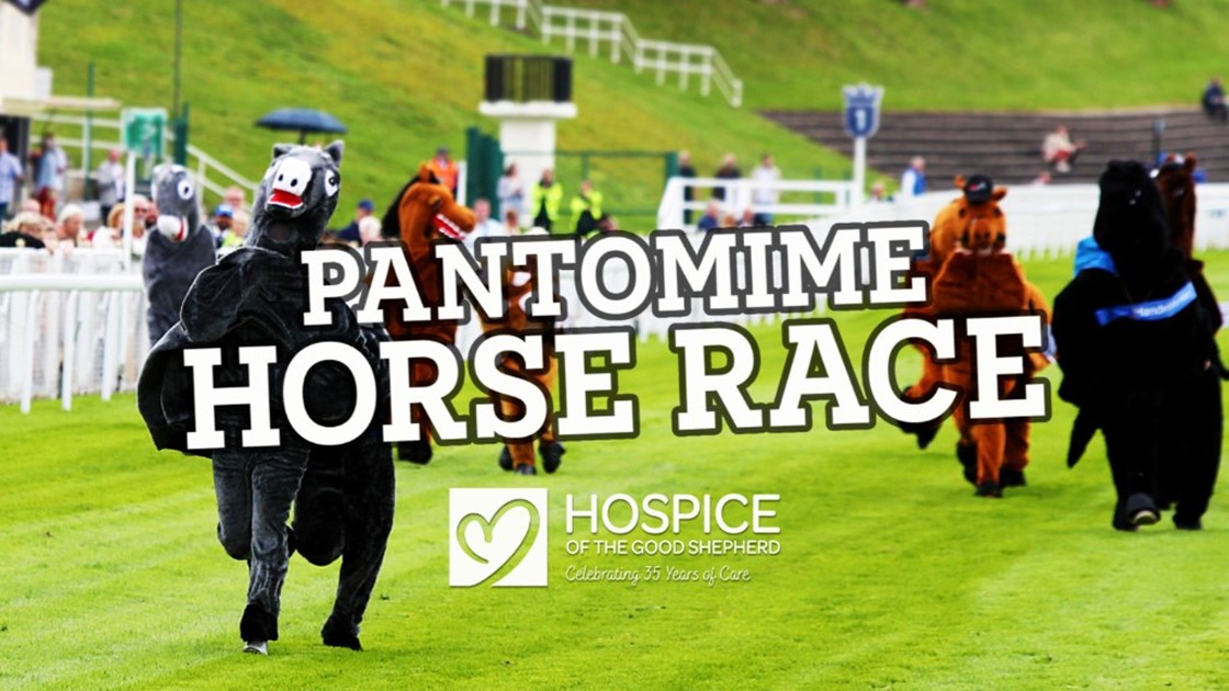 Panel Pony and Sad Ken is fundraising for Hospice of the Good Shepherd