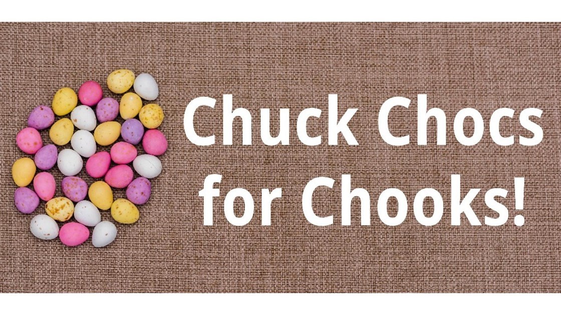 Chuck Chocs for Chooks - JustGiving