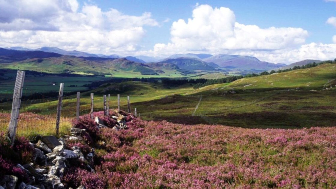 Steven Knott is fundraising for Gamekeepers' Welfare Trust