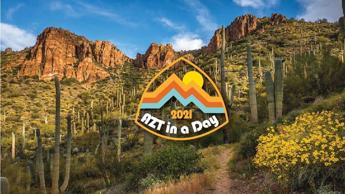 AZT in a Day 2021 - JustGiving
