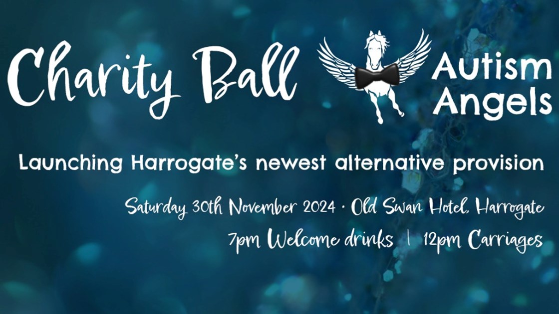 Autism Angels Charity Ball 2024 - JustGiving