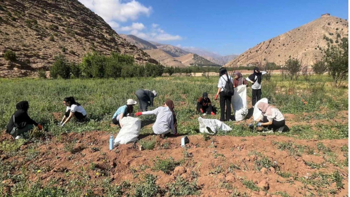 Connie Tatum is fundraising for Travelteer Impact