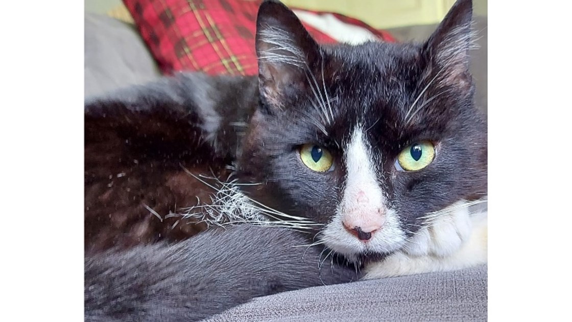 Crowdfunding For Good From JustGiving