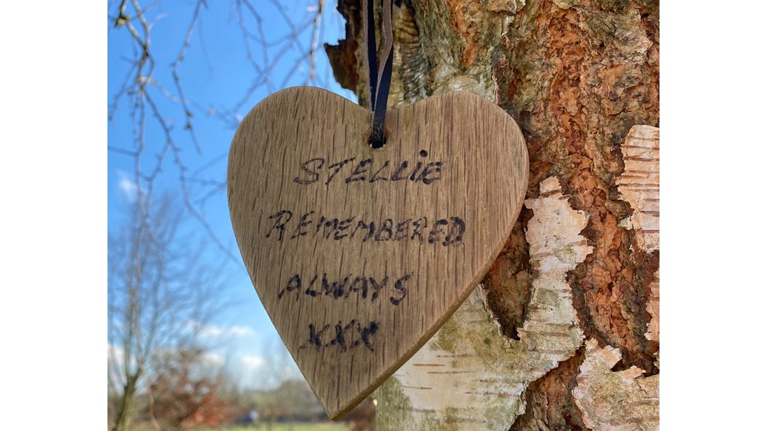 Joe Cuthbert is fundraising for The Royal Marsden Cancer Charity