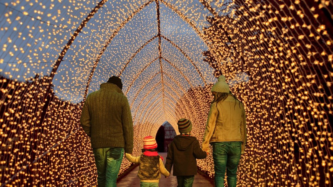 Swindon Festival of Trees and Walk for Children - JustGiving