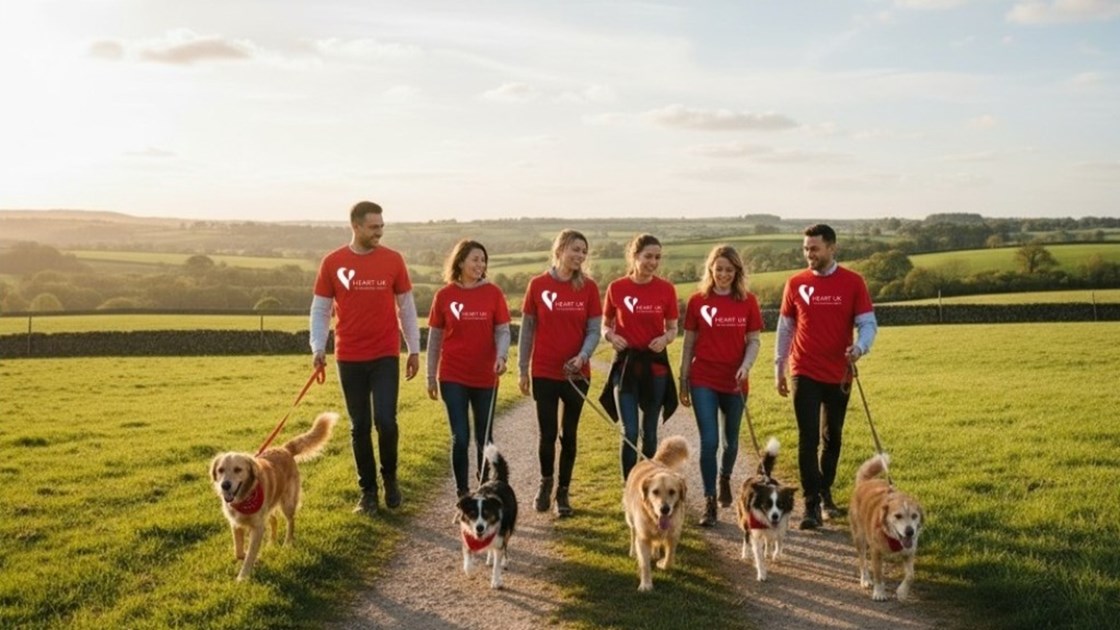 Ceri-Ann Mullan is fundraising for HEART UK