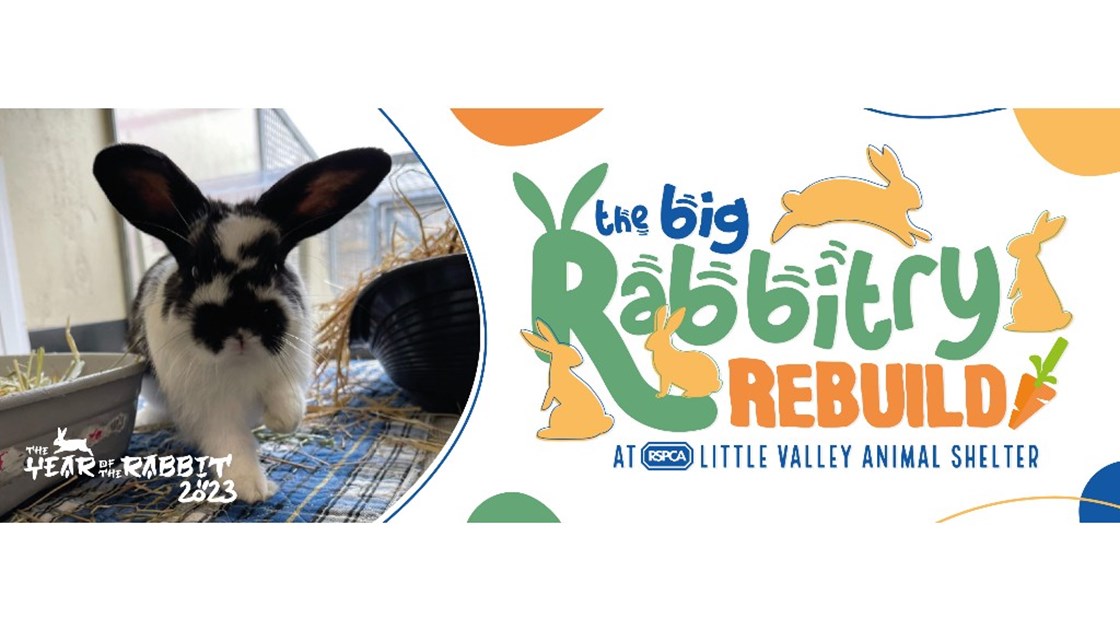 Big Rabbitry Rebuild at RSPCA Little Valley Animal Shelter - JustGiving