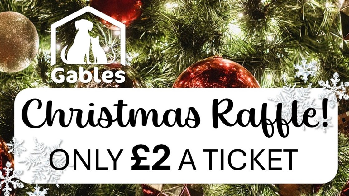 Cosy Christmas Raffle - JustGiving