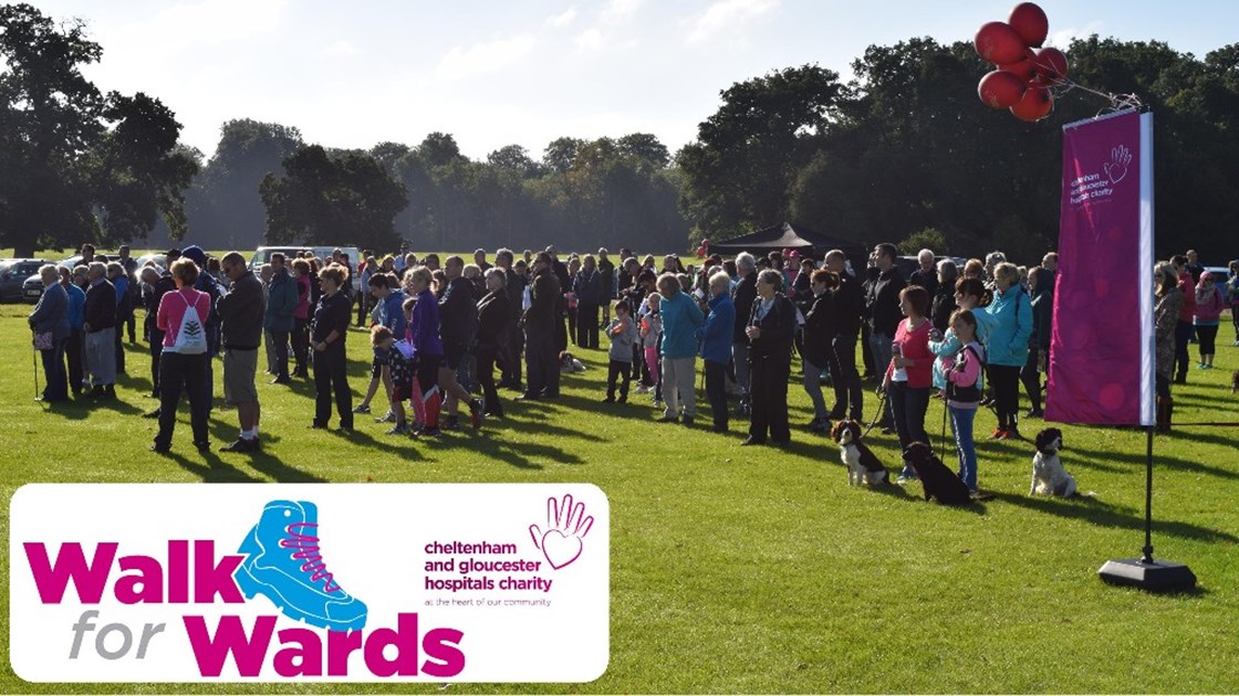 Walk for Wards 2019 - JustGiving