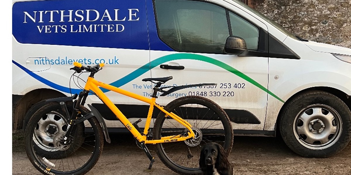 Nithsdale Vets is fundraising for My Name'5 Doddie Foundation